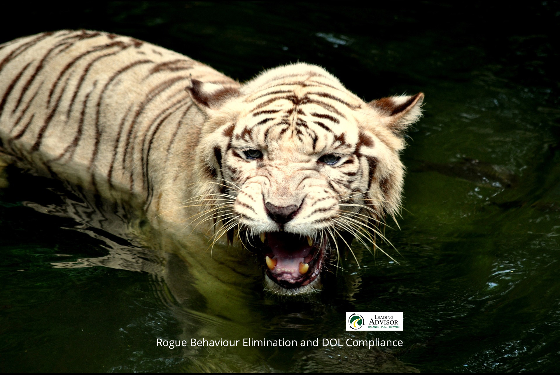 Rogue Behaviour Elimination and DOL Compliance - Leading Advisor ... Rogue Behaviour Elimination and DOL Compliance - Leading Advisor ...
